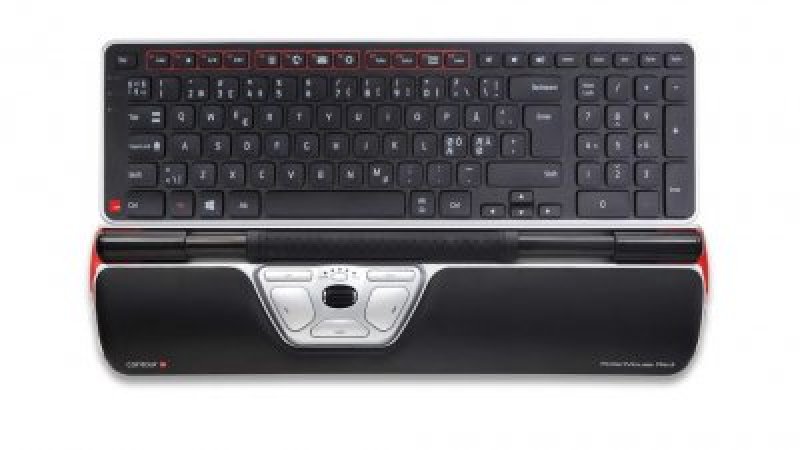 Rollermouse Red Max ergonomiskt styrdon för mindre belastningsskador